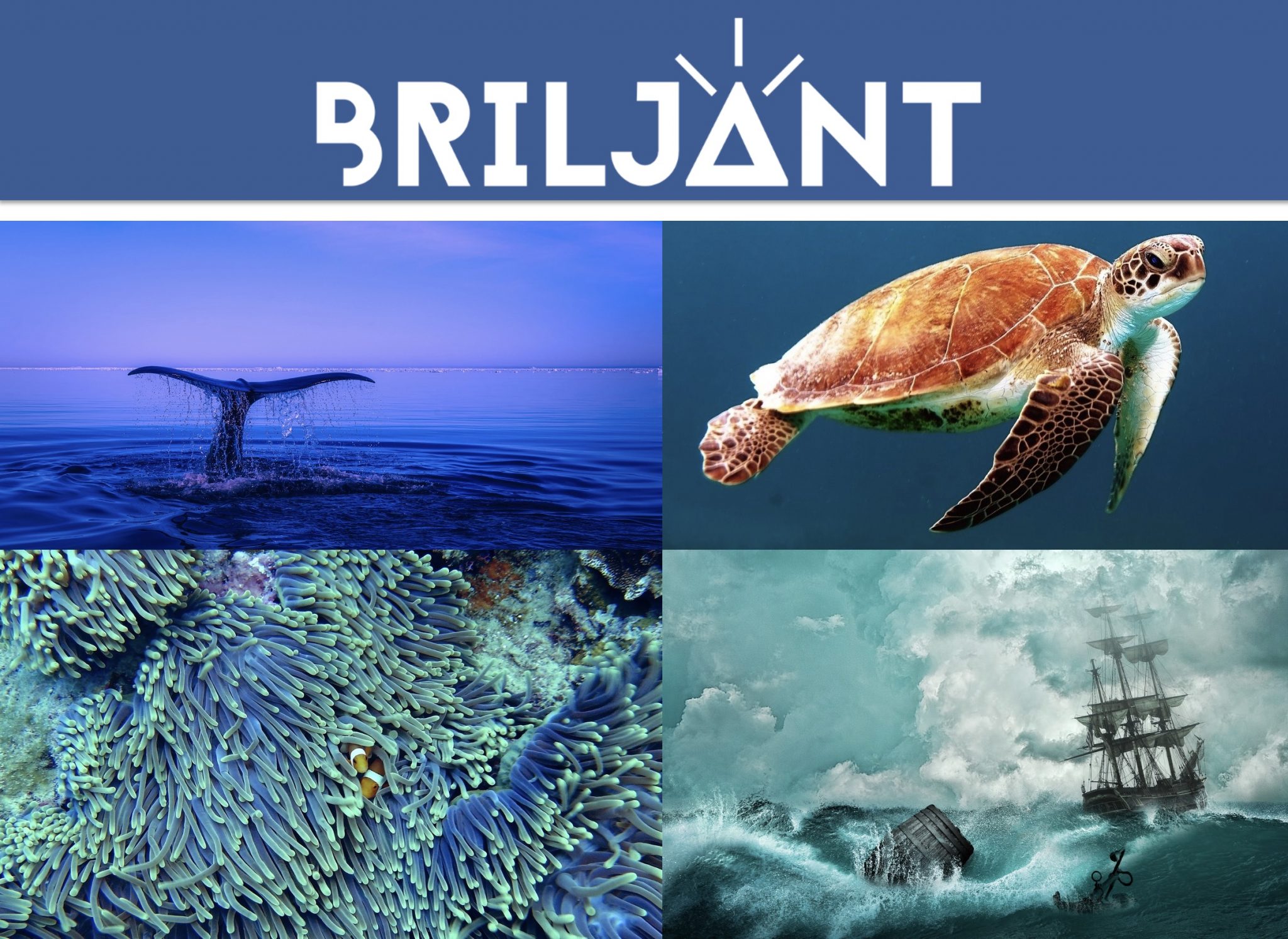 Home – Briljant Onderwijs